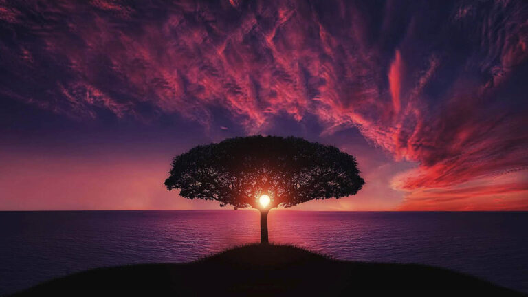 Balance Your Chakras Using a Chakra Tree - Topic Universe